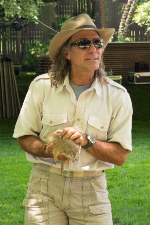 jungleterryandfriends.com - Photos