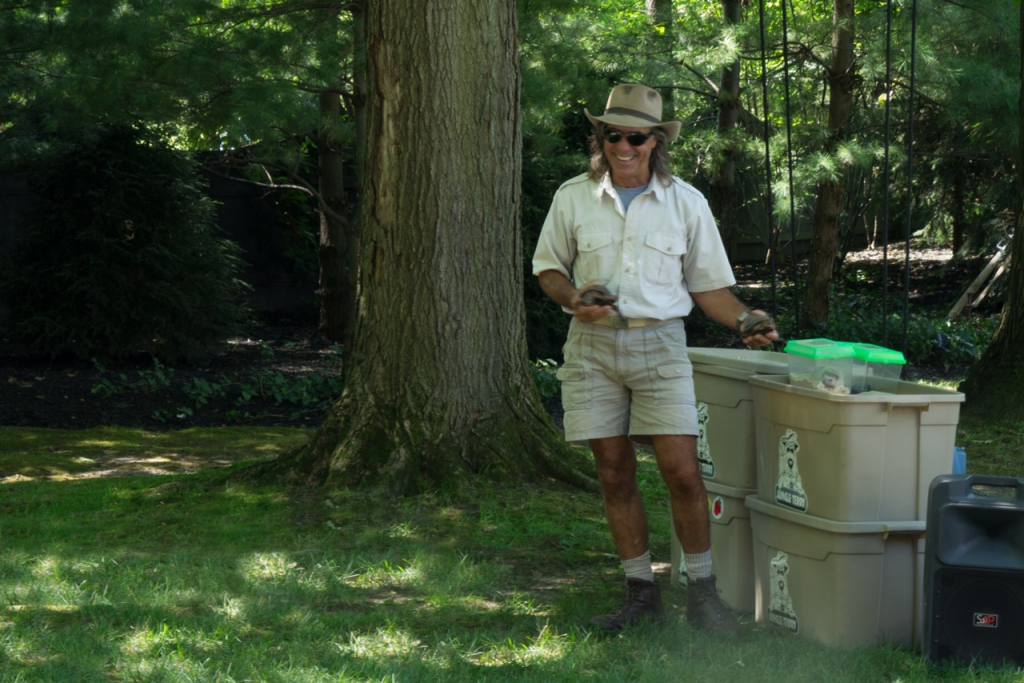 jungleterryandfriends.com - Photos