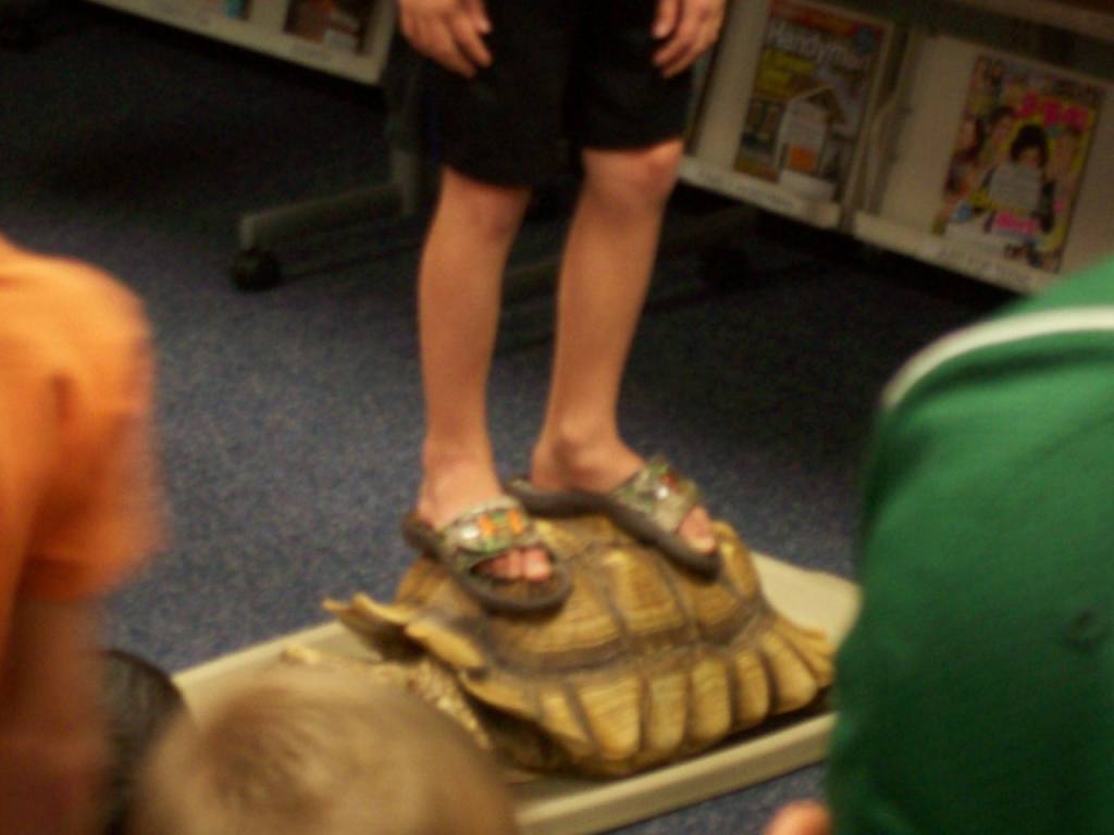 jungleterryandfriends.com - Photos